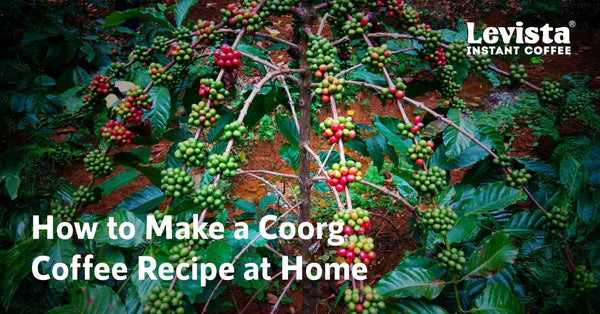 How to Make a Coorg Coffee Recipe at Home | Levista Coffee